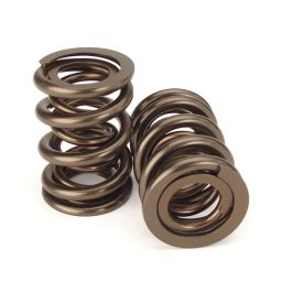 Enhance Performance with Nissan TB42/TB45 Dual Valve Spring Kit